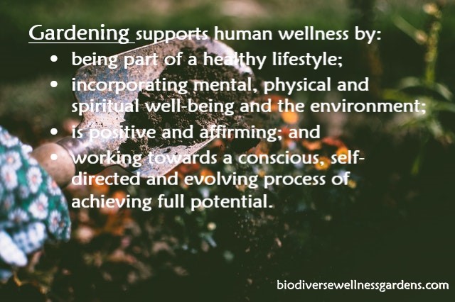 Exploring Human Wellness – BIODIVERSE WELLNESS GARDENS
